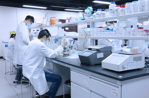 EMSA实验详细操作步骤【新人干货】